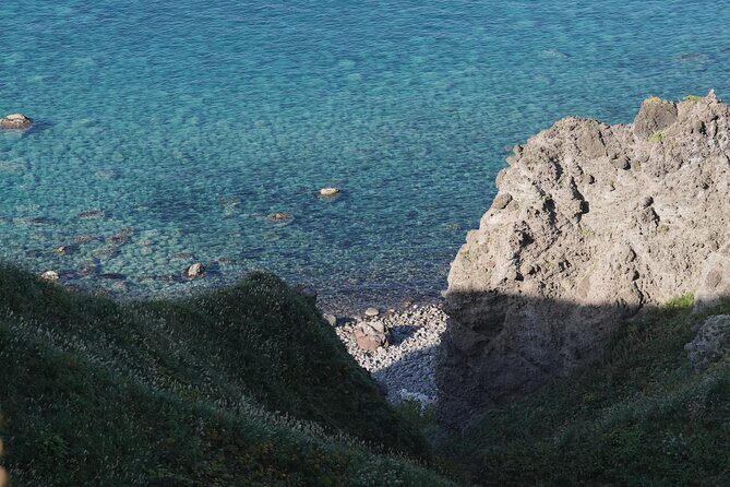 Shakotan Premium Lunch & Scenic Coastal Drive - A Detailed Look at the Tour