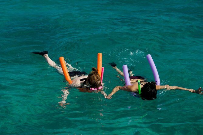 Shallow Water Snorkeling and Dolphin Watching in Key West - An In-Depth Look at the Experience