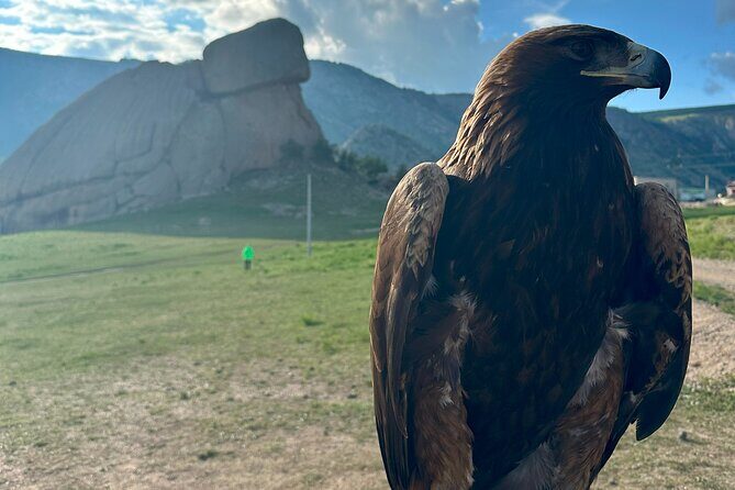 Shaman Encounter and Shambala Energy Center - FAQ