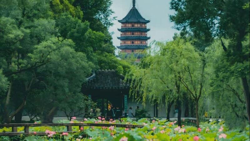 Shanghai: 7-Day Private Tour with Suzhou & Nanjing - A Closer Look at the 7-Day Itinerary