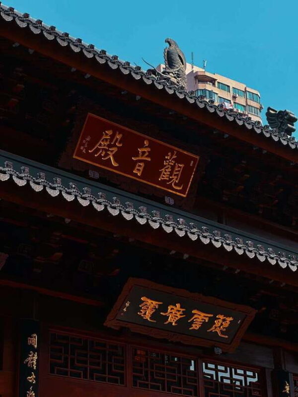 Shanghai: A Day of Culture, History, and Water Town Charm - Who Should Consider This Tour?