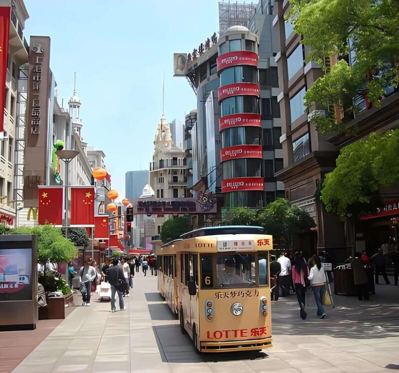 Shanghai Airport Layover Tour with Amazing City Highlights - Practical Details