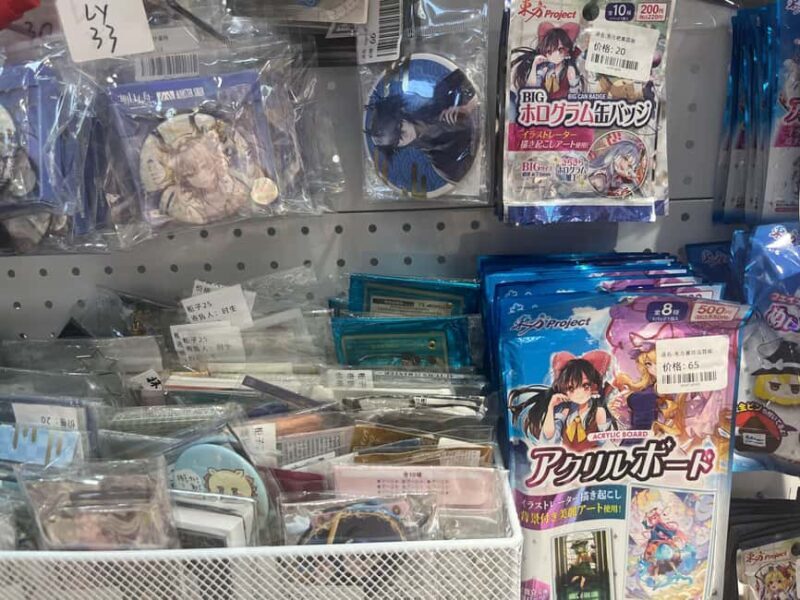 Shanghai: Anime and Pop Culture Tour with Shopping - The Sum Up