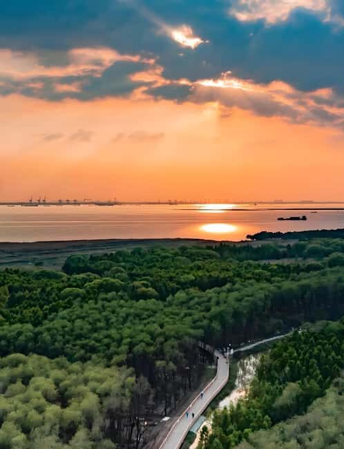 Shanghai: Chongming Island Private Tour with Lunch - Making the Most of Your Day Out