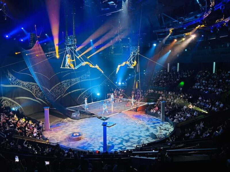 Shanghai: Circus World ERA Theatre Acrobatics Ticket - The Experience Itself