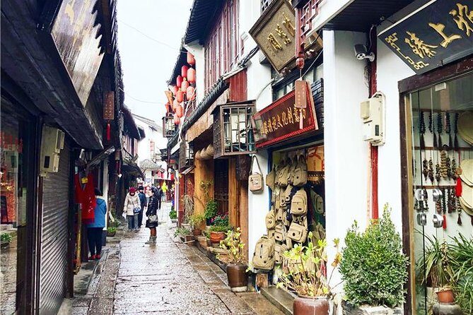 Shanghai City Highlights and Zhujiajiao Private Day Tour with Boat Ride - Who Will Appreciate This Tour?