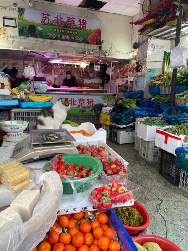 Shanghai Classic Food and Culture Walking Tour - FAQs