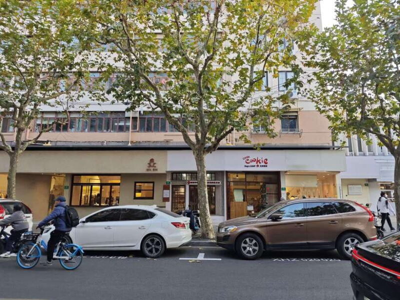 Shanghai Concession and History: Tour in a Minivan - Key Points