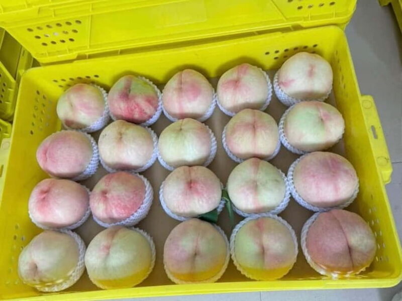 Shanghai: Delicate Seasonal Fruits and Picking Experience - Key Points