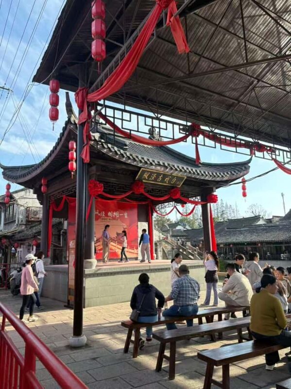 Shanghai: Fengjing Water Town Day Trip with Boat ride&Lunch - Who Will Appreciate This Tour?