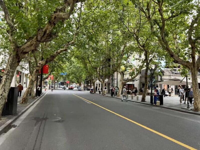 Shanghai: From Colonial Paris to Modern China Guided Tour - Who Will Appreciate This Tour?