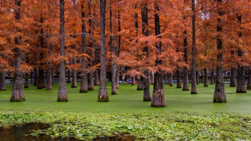 Shanghai: Matcha Lake & West Lake Day Trip by Train - The Journey Begins: Shanghai to Matcha Lake