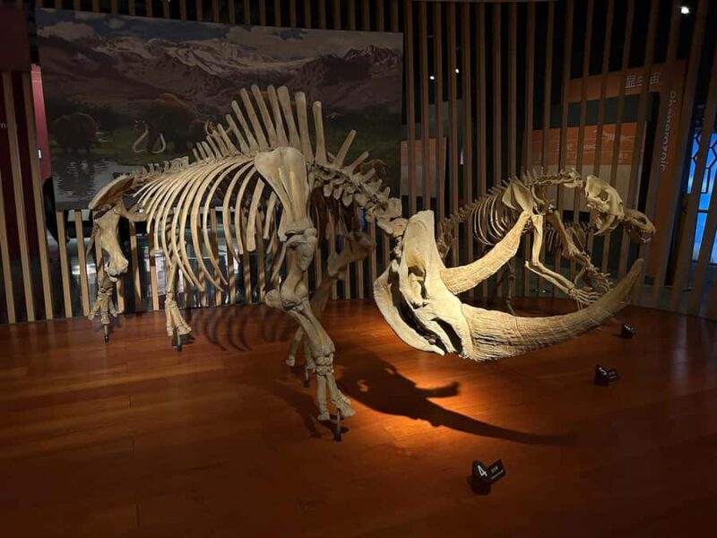 Shanghai Natural History Museum Admission Ticket - Habitat Dioramas and Hands-On Displays
