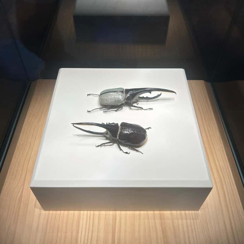 Shanghai Natural History Museum Admission Ticket - Final Thoughts