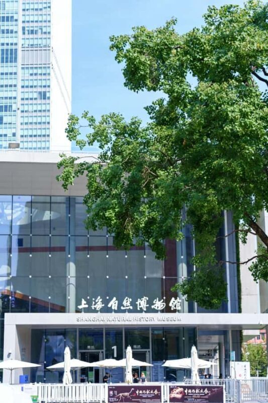 Shanghai Natural History Museum Entry Ticket - Key Points