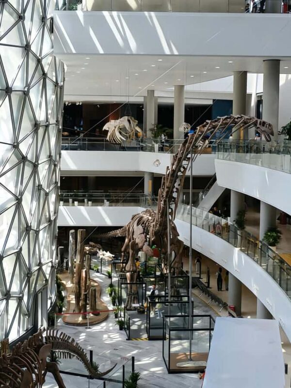 Shanghai Natural History Museum Entry Ticket - Final Thoughts