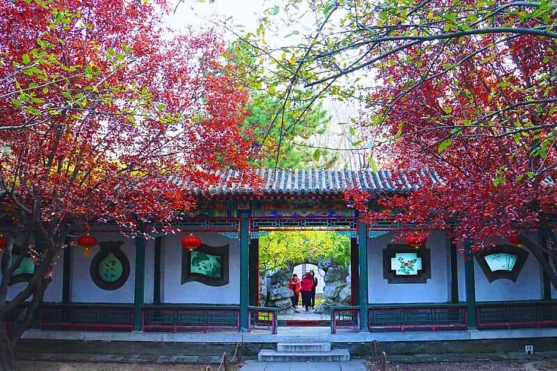 Shanghai: Old Town Half-Day Vintage Bike Tour (Night Option) - Key Points