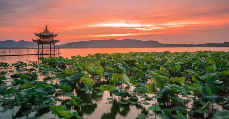 Shanghai: Private Guided Tour to Hangzhou by Bullet Train - Who Would Love This Tour?