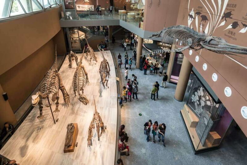 Shanghai: Private Tour of the Shanghai Museum - Who Will Enjoy This Tour?