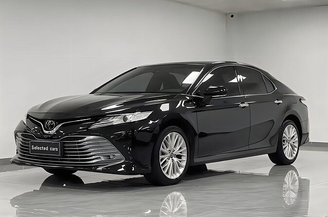 Shanghai: Private Transfers to/from Shanghai Pudong Airport(PVG) - The Sum Up: Who Is This Transfer Best For?