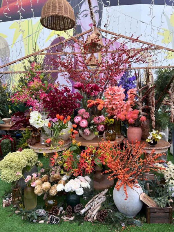 Shanghai: Private walking tour of the old town - Key Points