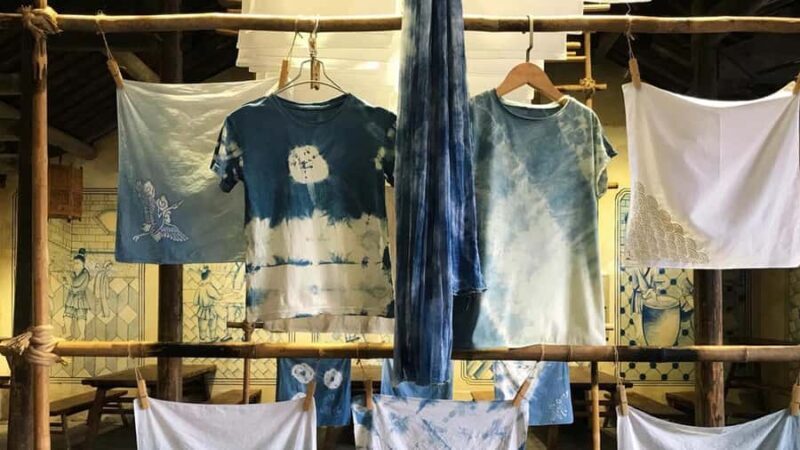 Shanghai: Private Wuzhen Day Tour with Indigo Workshop - Key Points