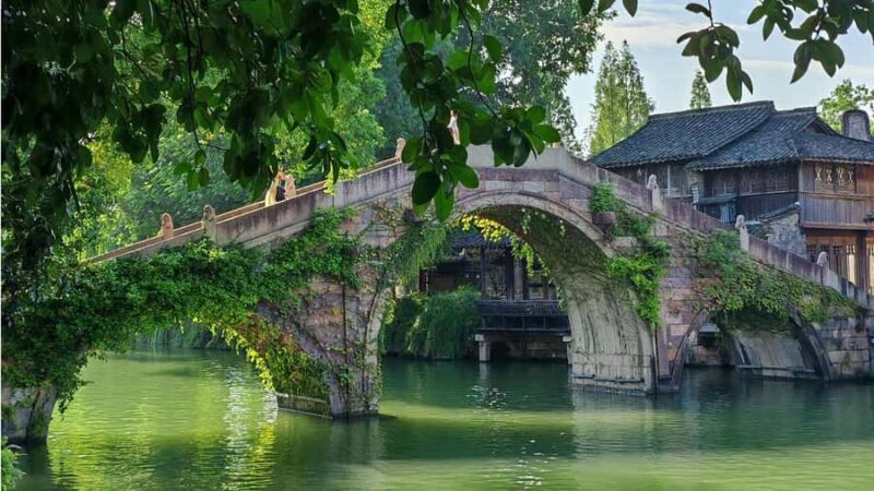 Shanghai: Private Wuzhen Day Tour with Indigo Workshop - The Journey Begins: From Shanghai to Wuzhen