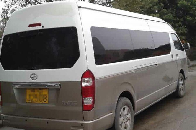 Shanghai Pudong International Airport (PVG) to Shanghai Wusongkou Cruise Port - What to Expect at the Meeting Point and Throughout the Journey