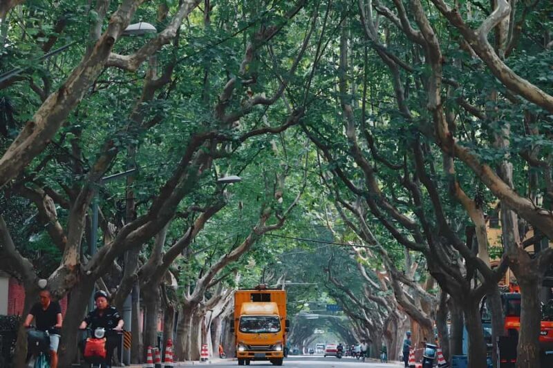 Shanghai: Sihang Warehouse and Wukang Road Tour - Key Points