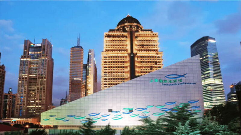 Shanghai: The Marine Wonders at Shanghai Ocean Aquarium - Who This Experience Is Best For
