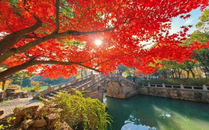 Shanghai to Suzhou One Day Private Tour with Bullet Train - Considerations and Tips for Travelers