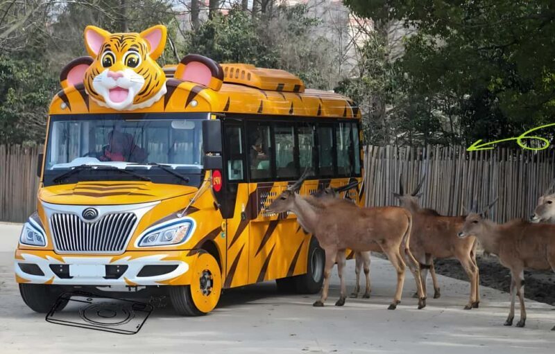 Shanghai Wildlife Park Panda & Predator Feeding Tour - Real User Experiences