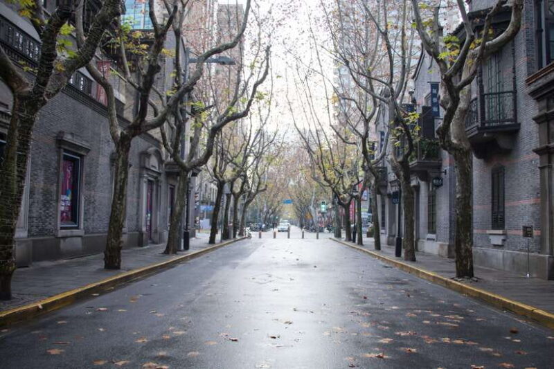 Shanghai: Zhujiajiao Water Town and City Private Day Tour - Key Points