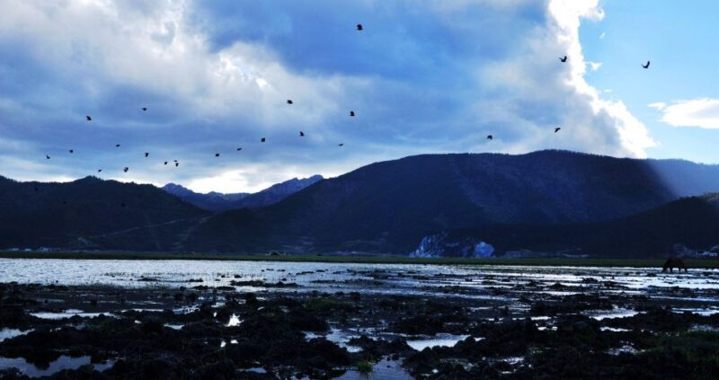 Shangri-La Area Private Day Tour - Final Thoughts