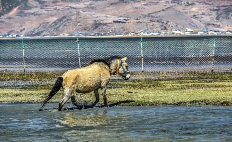 Shangri-La: Balagezong Scenic Area Private Tour - An In-Depth Look at the Tour