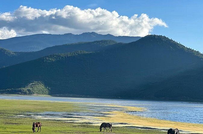 Shangri-La Day Tour Songzanlin Monastery and Napa Sea - What We Learned from Reviews