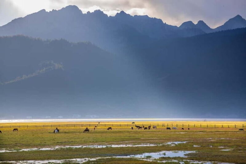 Shangri-La: Tiger Leaping Gorge & Songzanlin Monastery Tour - Logistics and Practicalities