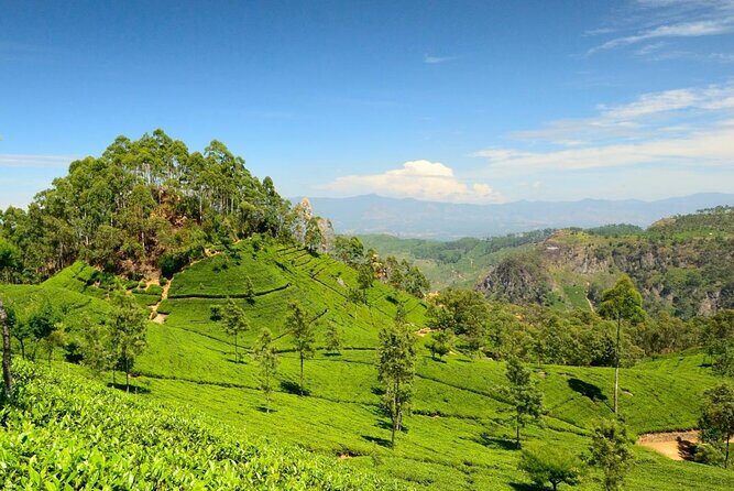 Shanthipura and Nuwara Eliya Day Tour from Kandy - Ramboda Waterfalls: A Refreshing Wake-Up Call