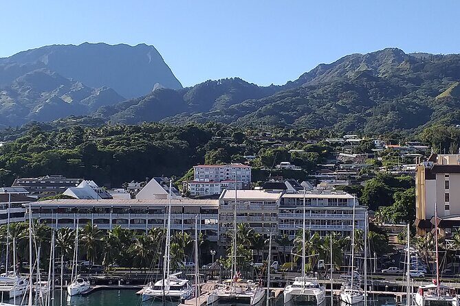 Shared 4.5h Circle Island Tour of Tahiti Nui by Lydia - A Closer Look at the Tour Experience