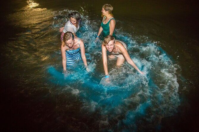 Shared Bioluminescence kayak tour in Holbox - Pricing and Value: Is It Worth It?