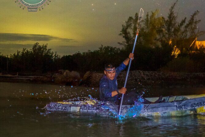 Shared Bioluminescence kayak tour in Holbox - The Sum Up: Who Should Consider This Tour?