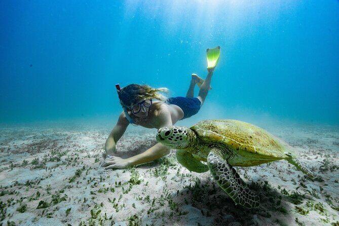 Shared Boat Transfer to Great Keppel Island - Key Points