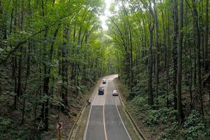 Shared Bohol Countryside Highlights Tour - Who Will Love This Tour?