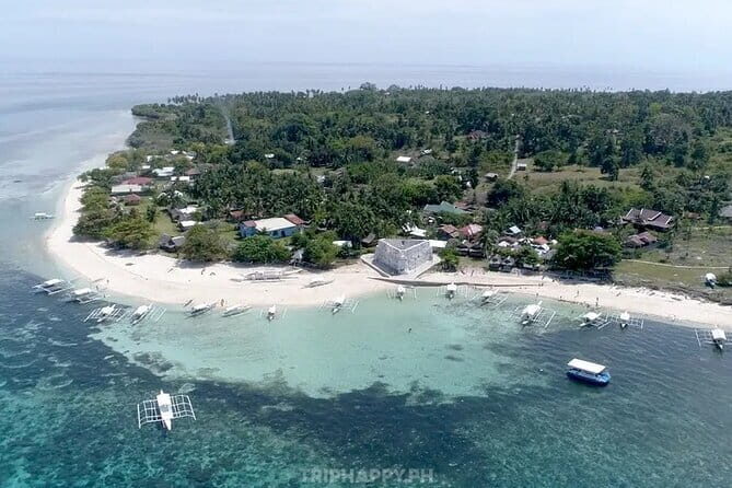 Shared Bohol Dolphin Watching and Pamilacan Island Tour - Detailed Breakdown of the Itinerary
