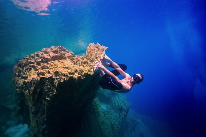 Shared Bohol Dolphin Watching and Pamilacan Island Tour - Authentic Experiences & Traveler Insights