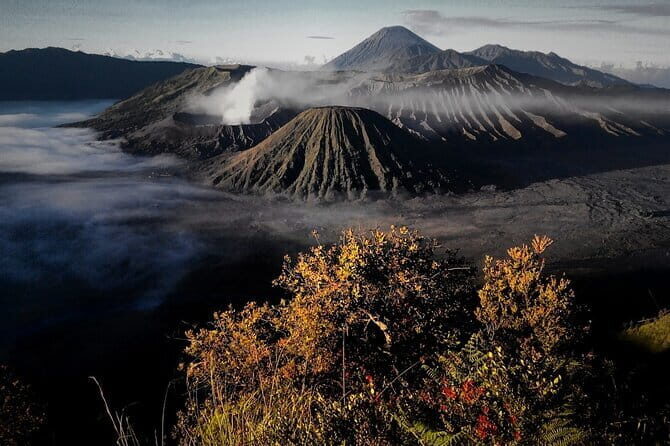 Shared Bromo Tour Start From Malang - 1D - Unveiling the Shared Mount Bromo Tour from Malang: An Authentic Sunrise Adventure