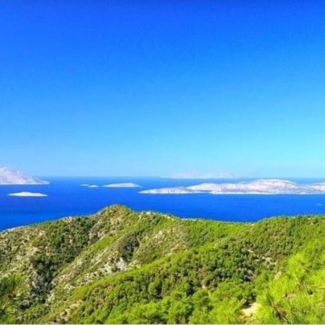 Shared Day Trip from Rhodes to Alimia island - An Authentic Day in the Aegean: What to Expect