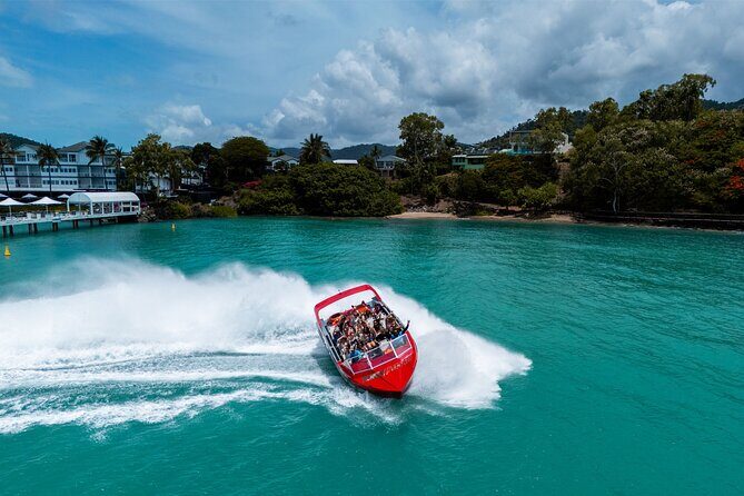 Shared Daydream Extreme High Speed Jetboat Tour - An In-Depth Look at the Experience