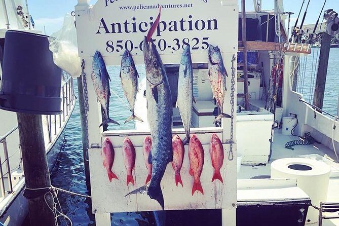 Shared Deep Sea Fishing Trip from Destin - What to Expect on the Water