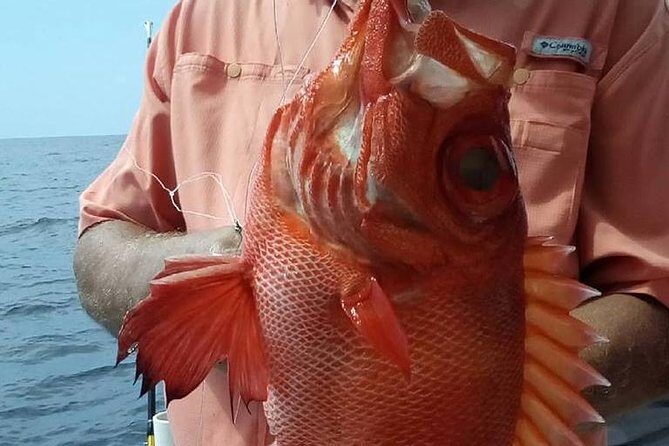 Shared Deep Sea Fishing Trip from Destin - Who Will Love This Trip?